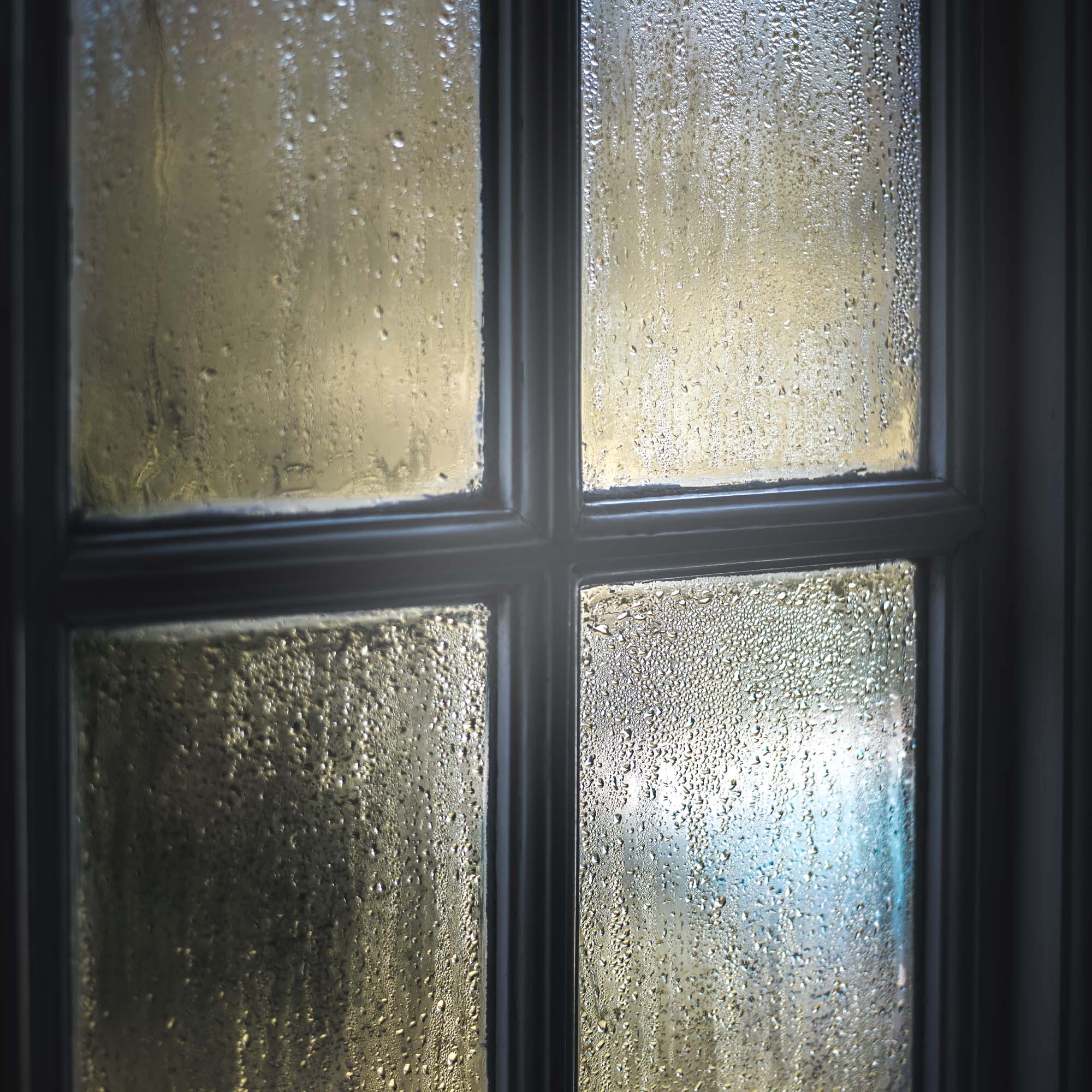 How to Keep Moisture and Humidity at Bay in Your Rental Home - Buckeye ...